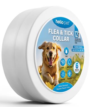 Helio Collar 5 Pack – Helio Pet